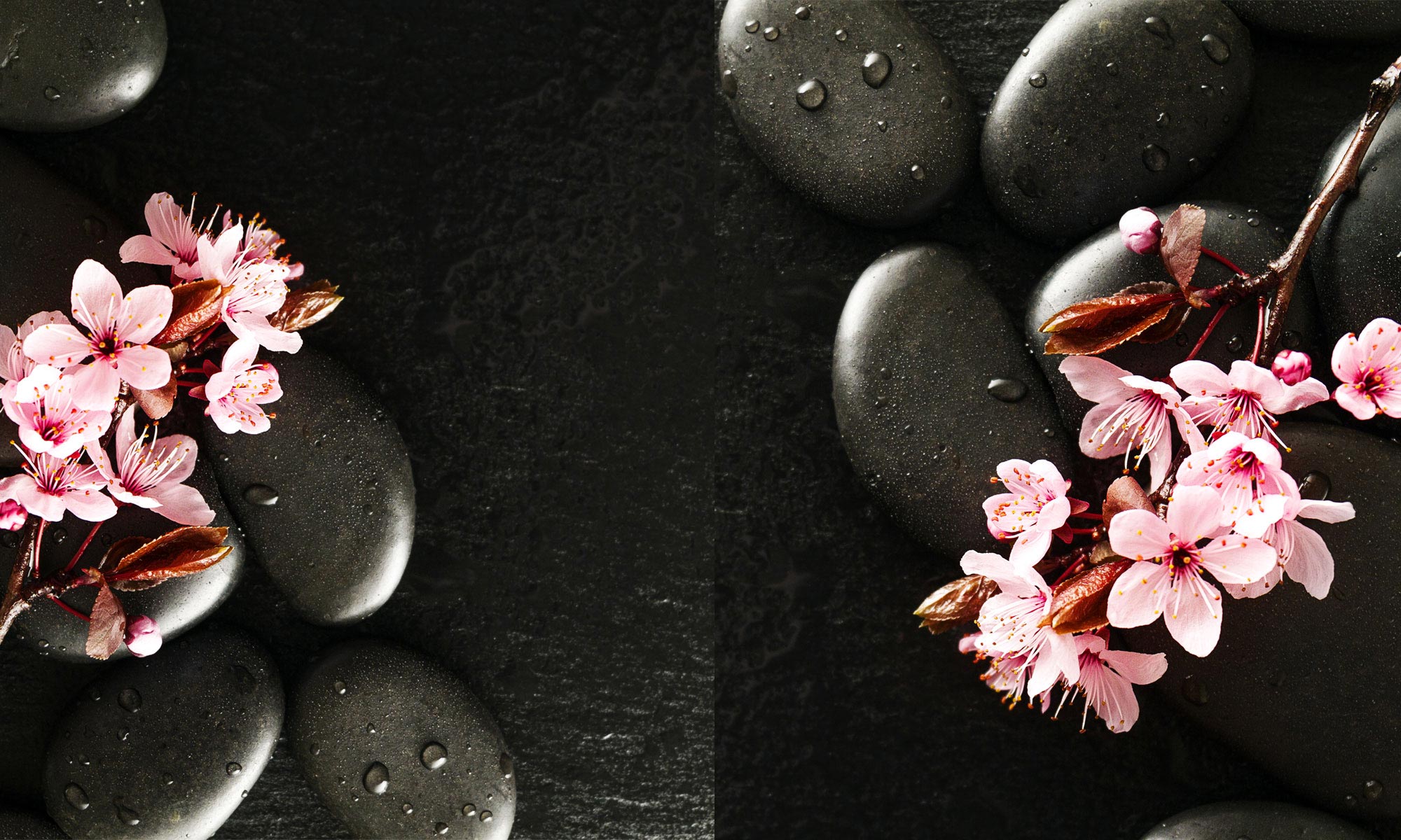 Spa Template | Home Page 1